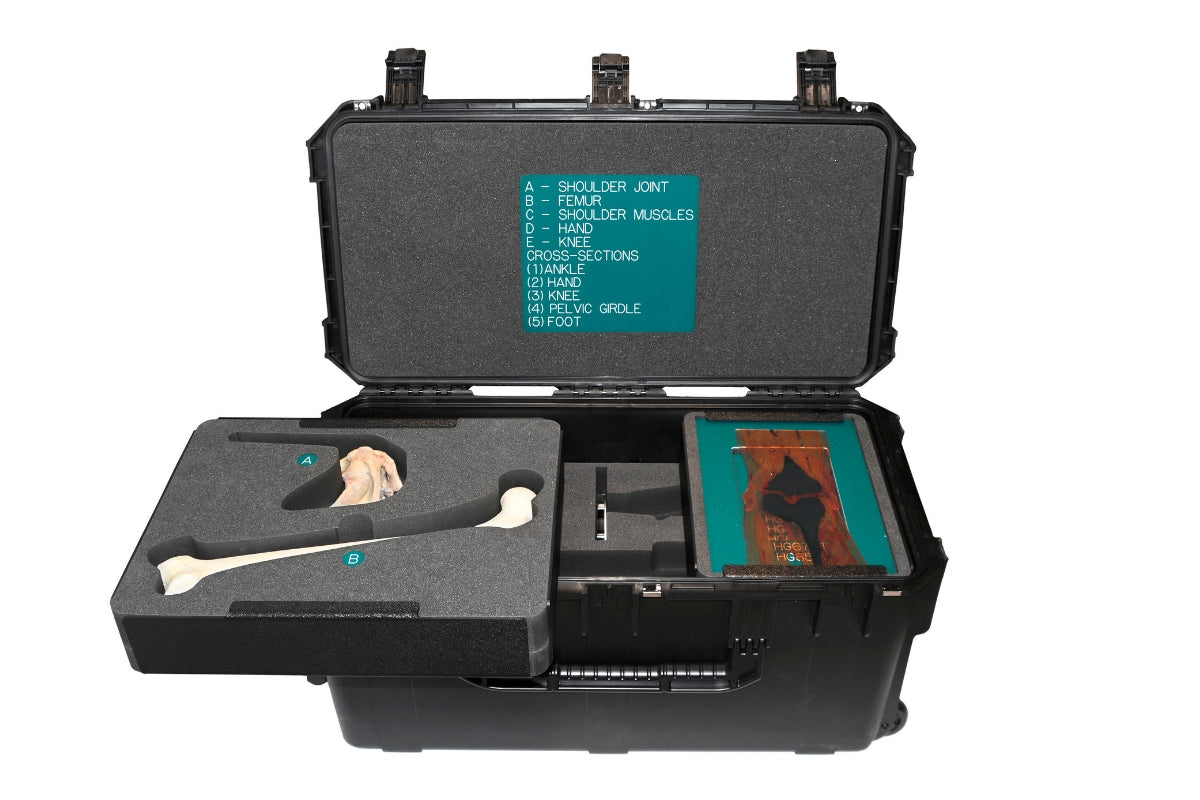 Musculoskeletal anatomy kit storage case – Protect-case Global